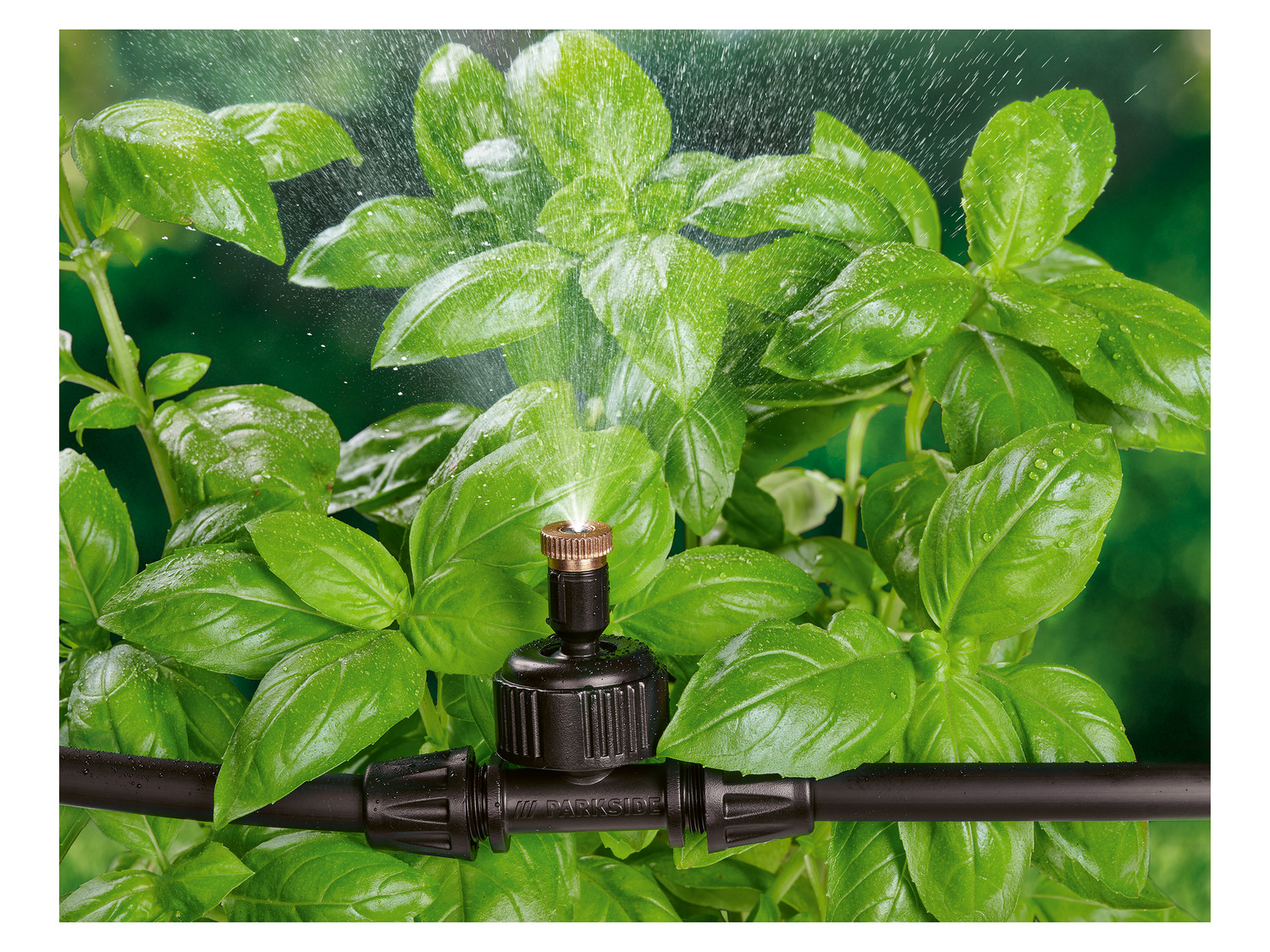 Système d'irrigation PARKSIDE® | Lidl.be