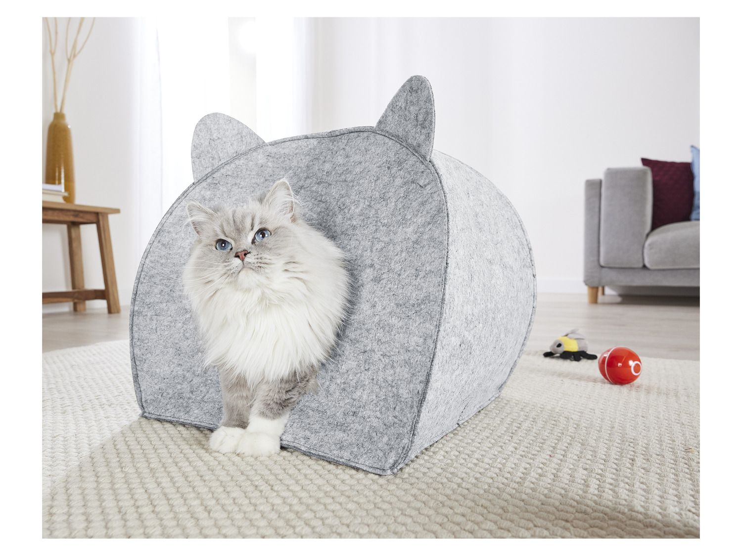 Kattenmand online kopen op Lidl.be