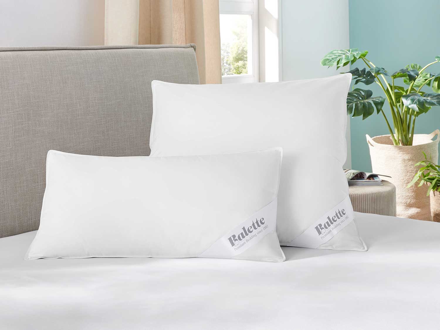 Oreiller en plume et duvet Elegance | Lidl.be