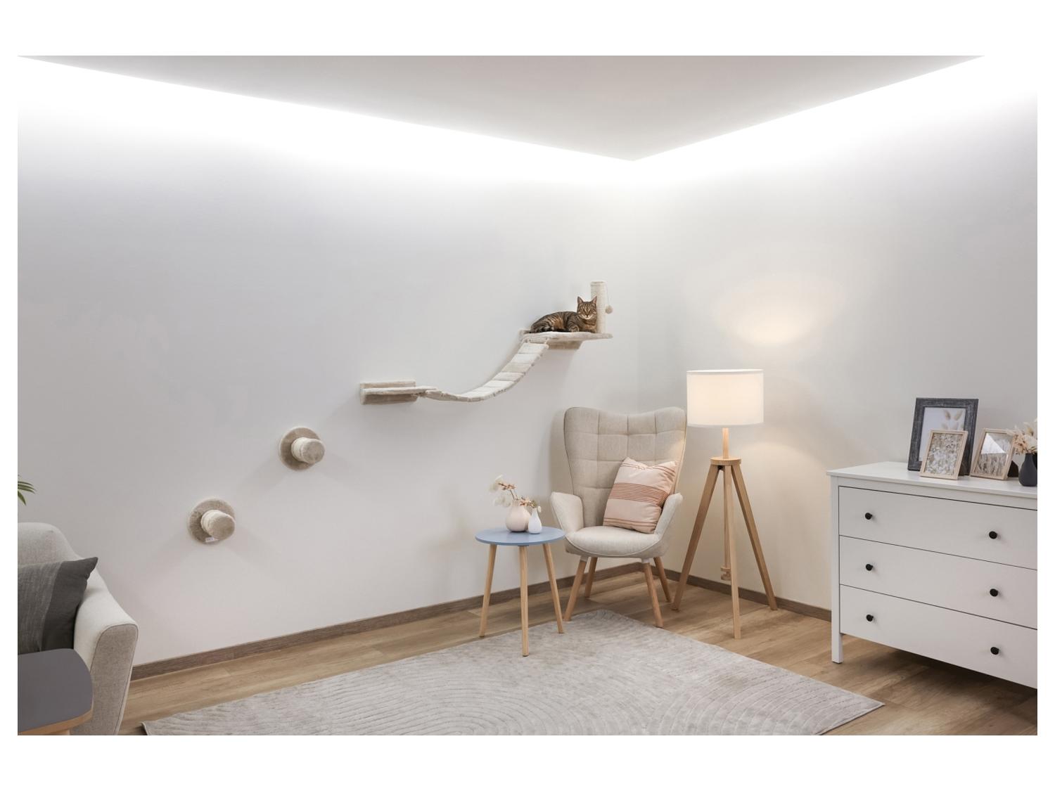 KERBL Mur d'escalade pour chats | Lidl