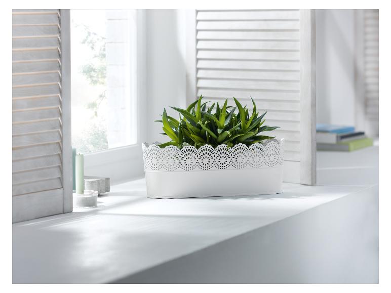 Pots de fleurs acheter en ligne sur Lidl.be