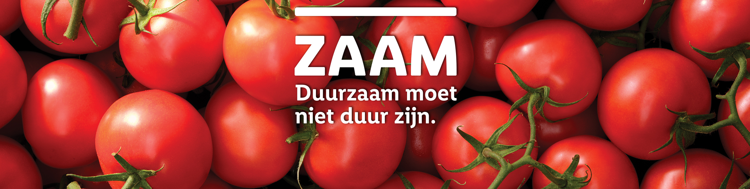 De hoogste kwaliteit voor de laagste prijs | Lidl.be